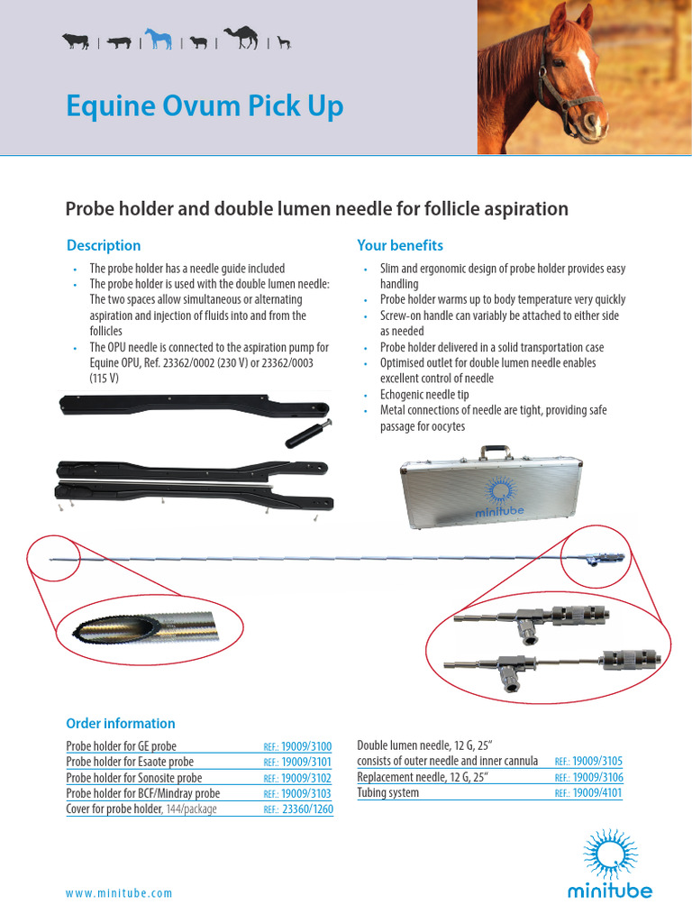 Equine Oocyte Aspiration System | PDF | Electrical Engineering | Equipment