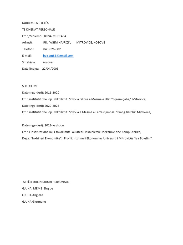 CV Beisa | PDF