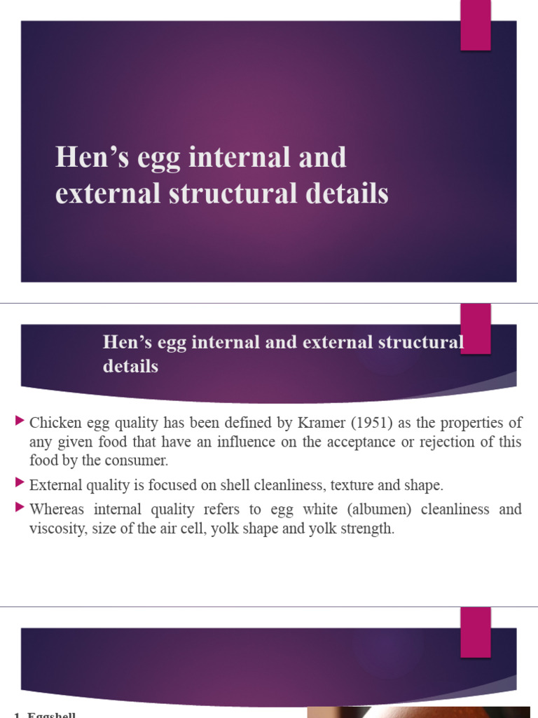 Practical No 2 | PDF | Yolk | Egg Practical No 2 | PDF | Yolk | Egg
