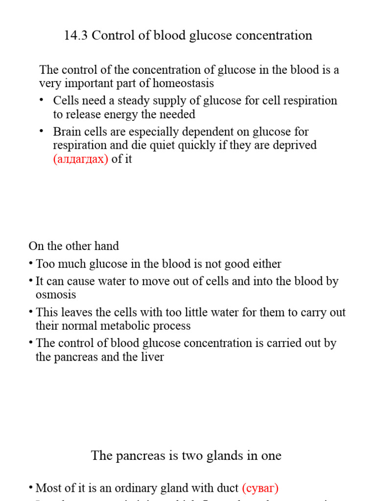 14.3 Control of Blood Glucose Concentration | PDF | Pancreas | Glucose