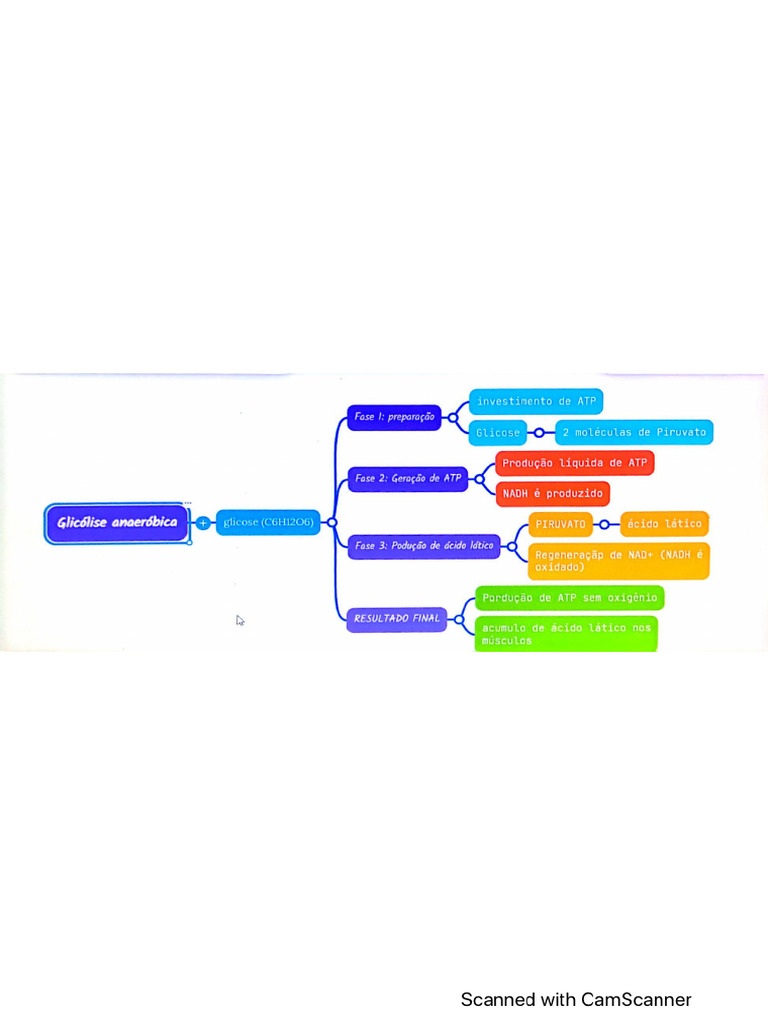 Mapa Conceitual | PDF
