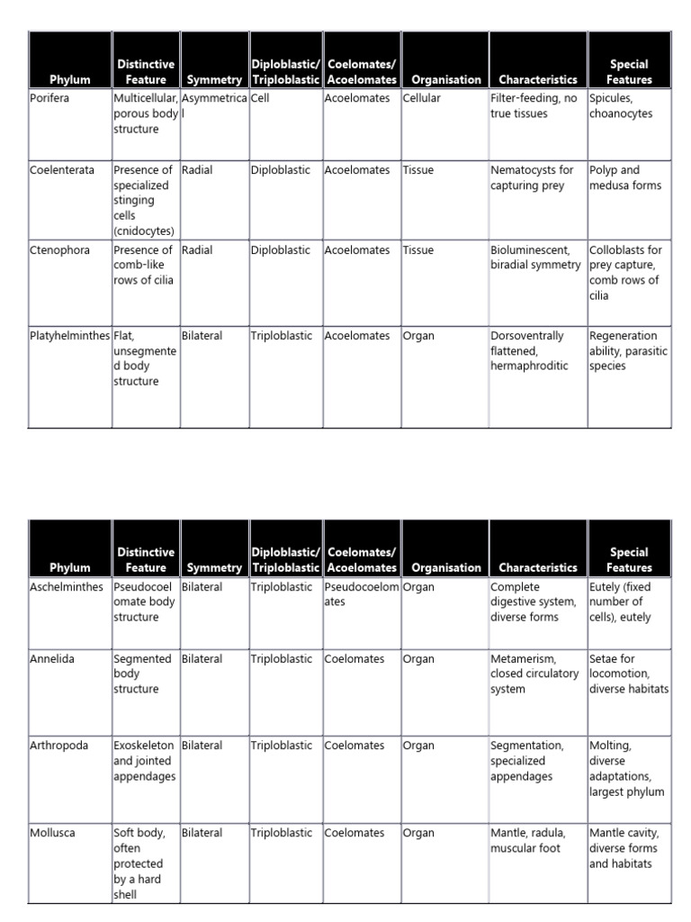 Animal Kingdom Tabular Column | Download Free PDF | Anatomy | Organisms