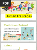 Human Life Cycle Powerpoint | PDF | Adolescence | Toddler