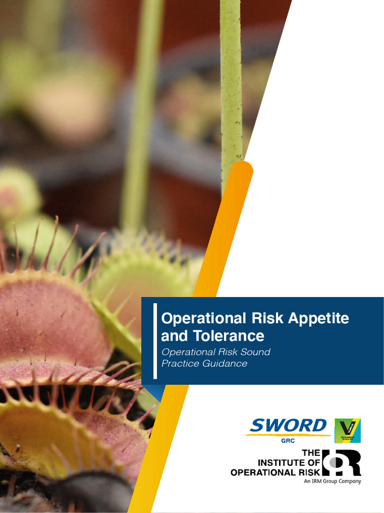 Operational Risk Appetite and Tolerance | PDF | Risk | Operational Risk