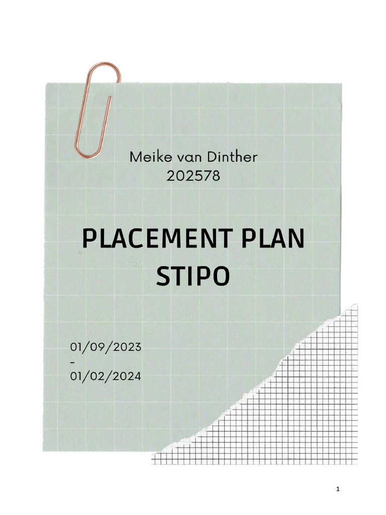 Placement Plan Stipo Meike Van Dinther | Download Free PDF | Knowledge ...