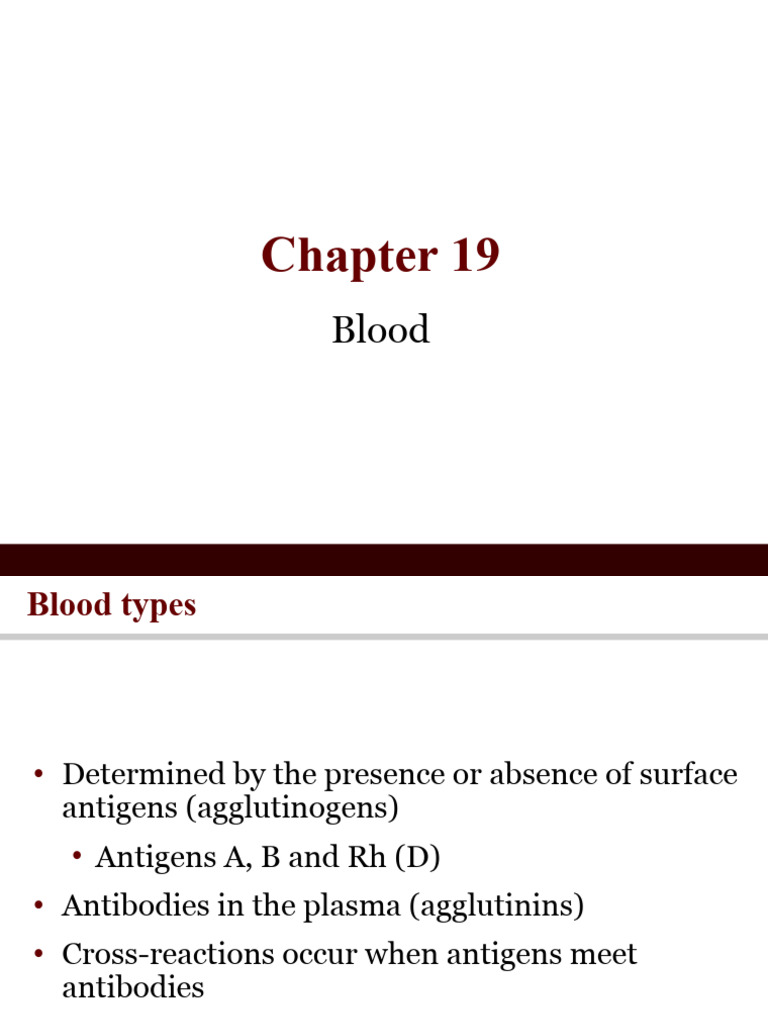 Anatomy Chapter 19 Blood 2 | PDF | Red Blood Cell | White Blood Cell