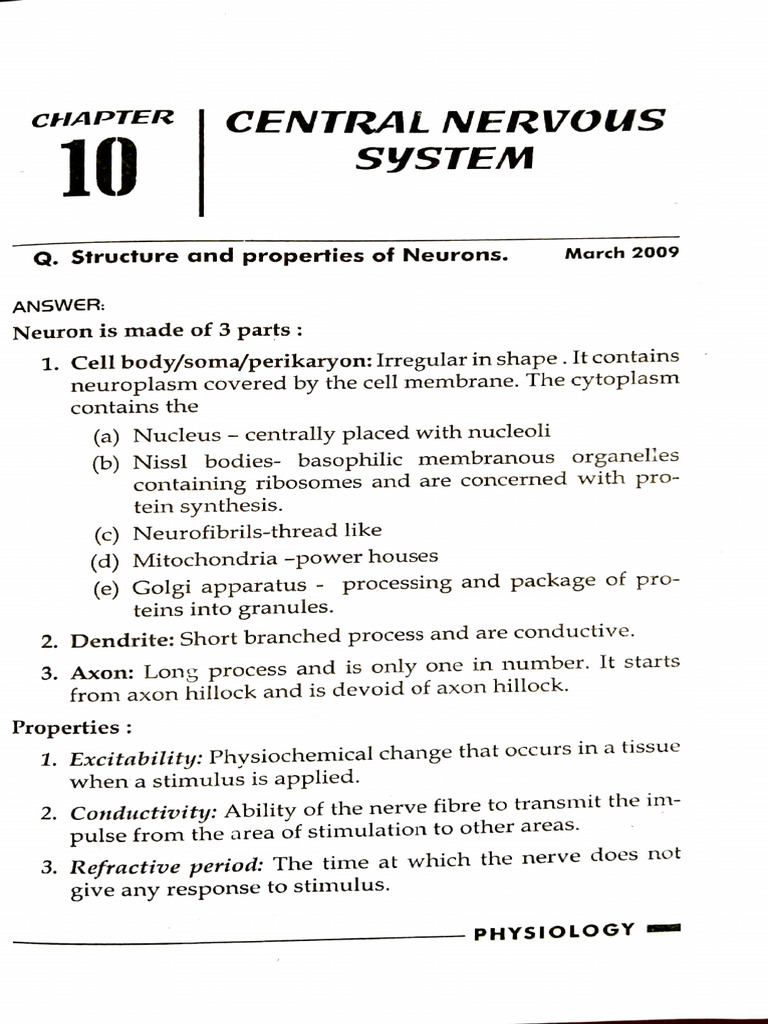 Neuron Structure and CNS Functions | PDF | Axon | Cerebral Cortex