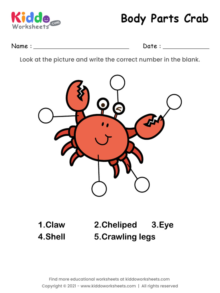 Label The Body Parts of Crab Worksheet | PDF