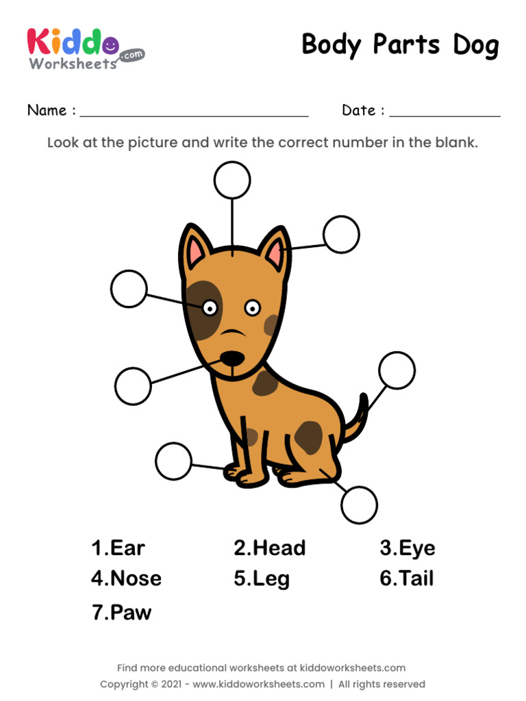 Dog Body Parts Worksheet for Kids | PDF | Games & Activities | Wellness