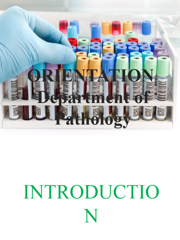 Finalised Integrated Pathology Orientation Slides | PDF