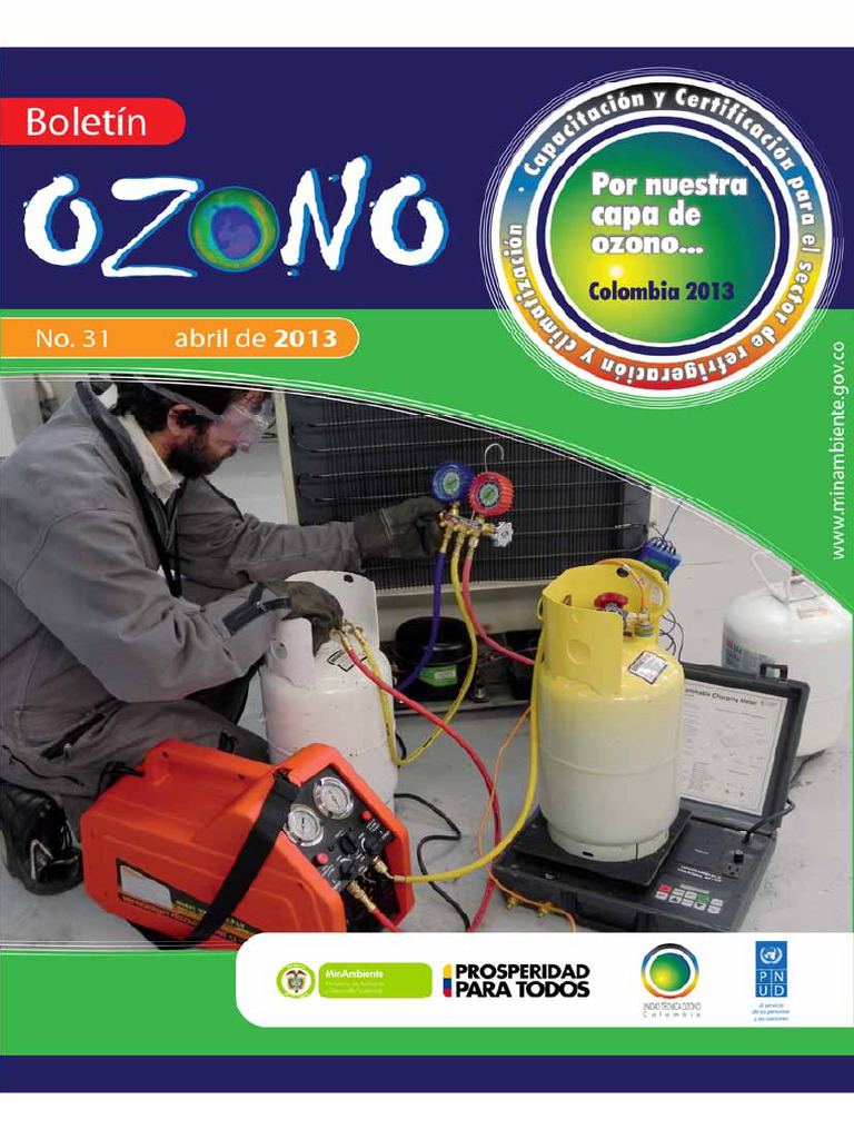 Boletin Ozono 31 | PDF