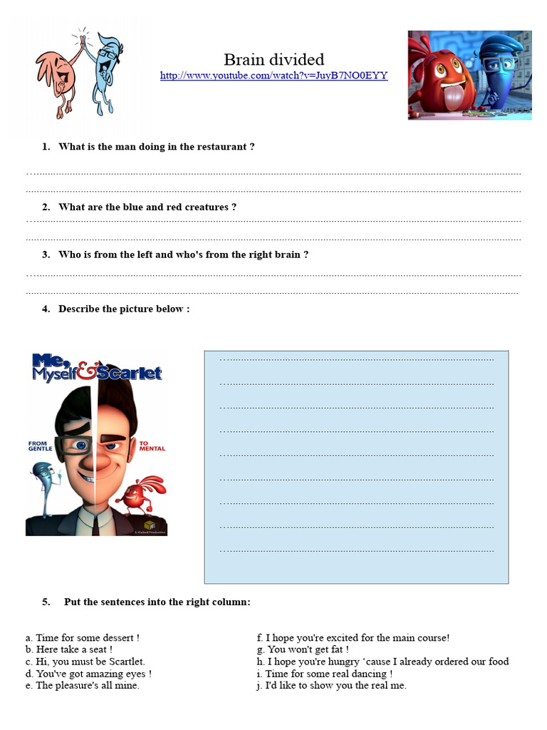 Brain Divided-Video Worksheet | PDF