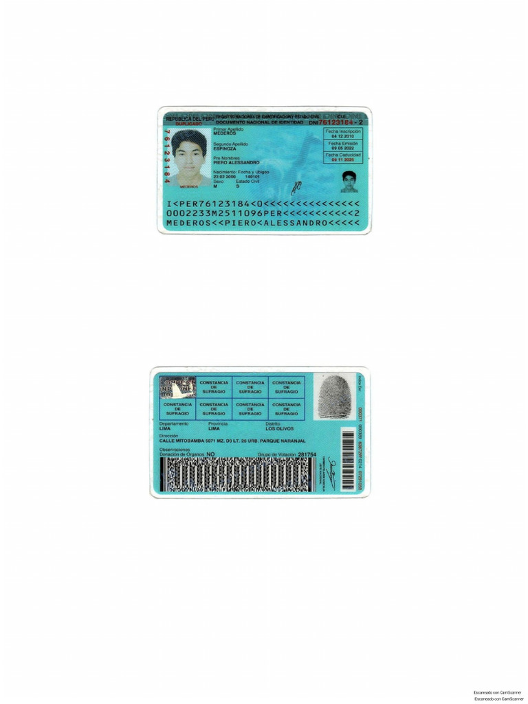 CV M.Espinoza 2 | PDF