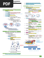 Frog Embryo Development Stages | PDF | Zoology | Developmental Biology