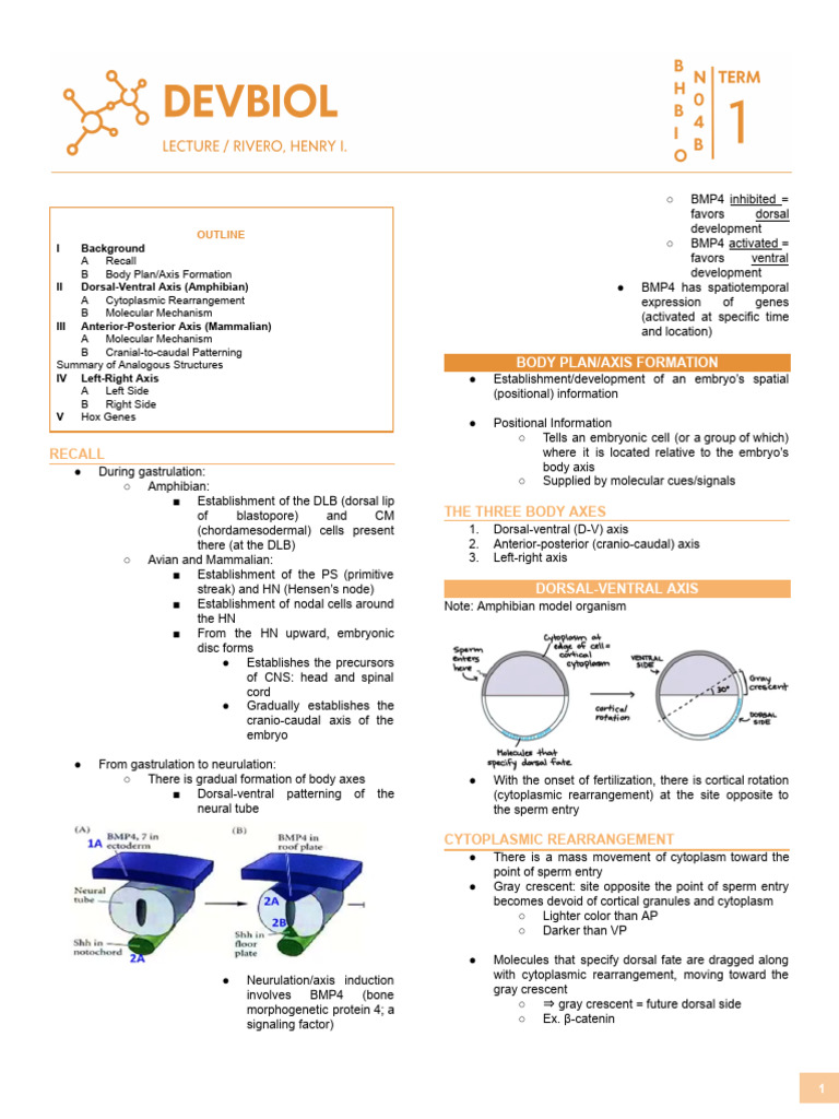 Embryonic Axis Formation Mechanisms | PDF | Developmental Biology ...