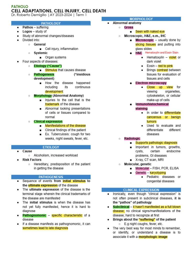 01 Cell Adaptations, Cell Injury, Cell Death | PDF | Necrosis | Ischemia