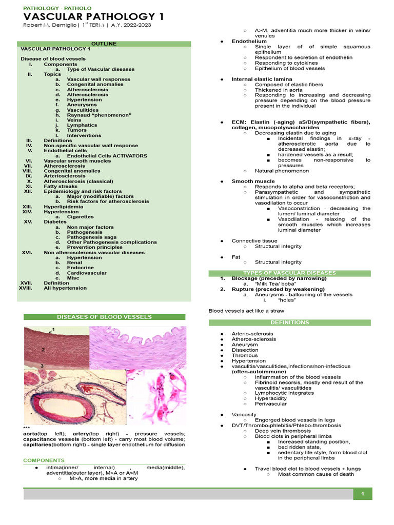 Vascular Pathology Overview | PDF