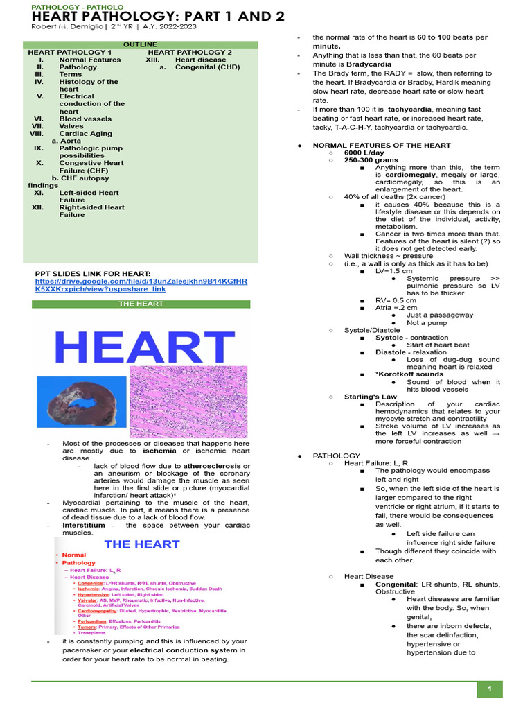 07 Heart Pathology (Part 1 and 2) | PDF | Heart | Heart Valve