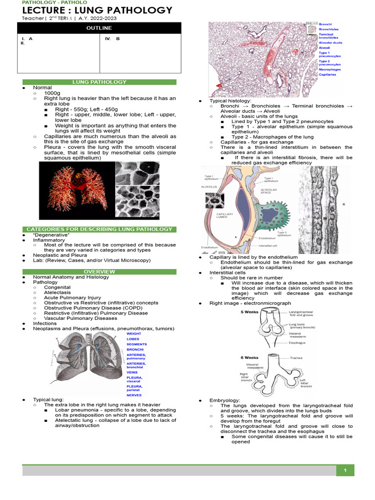 11 Lung Pathology | Download Free PDF | Lung | Respiratory Tract