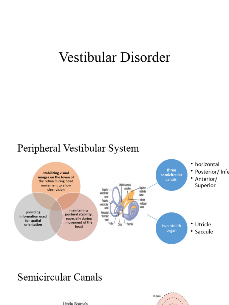 Vestibular Disorder | Download Free PDF | Vestibular System | Vertigo