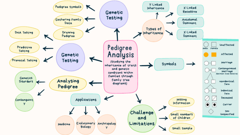 Yellow Colorful Organic Mind Map Brainstorm - 2 | PDF | Genetics