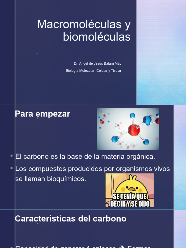 I 2 Macromoleculas y Biomoleculas | PDF | Lípido | Carbohidratos