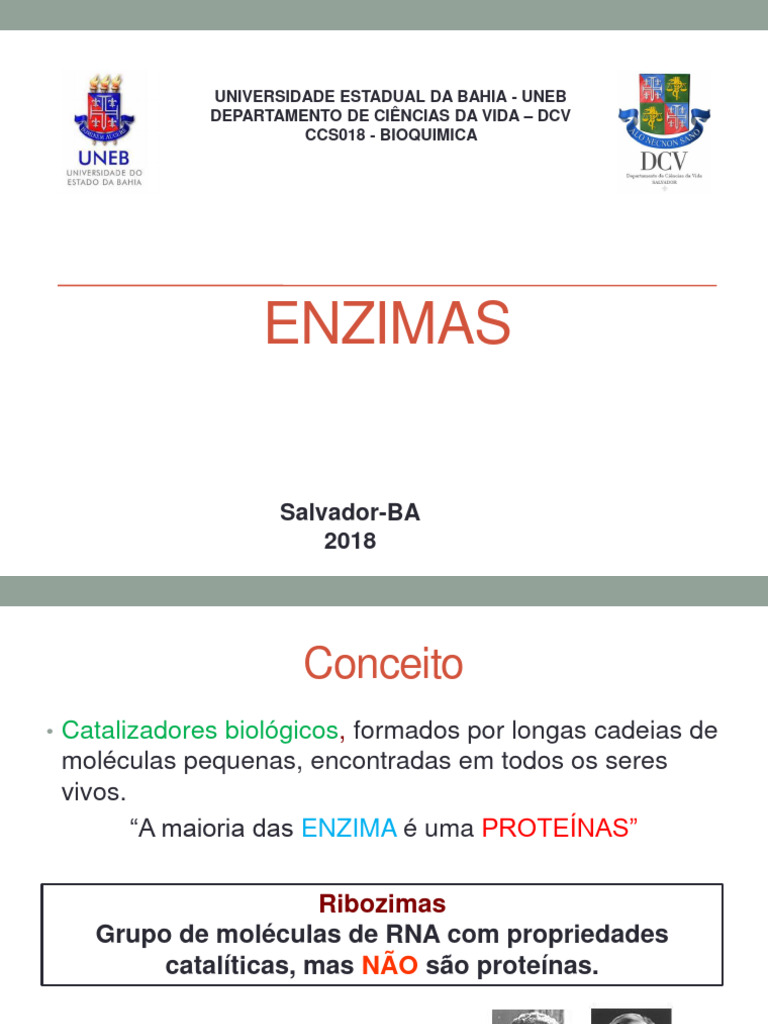 Aula 3 - Enzimas | PDF