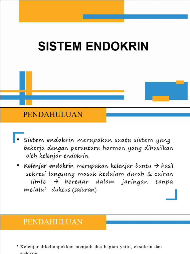 Anatomi ENDOKRIN | PDF