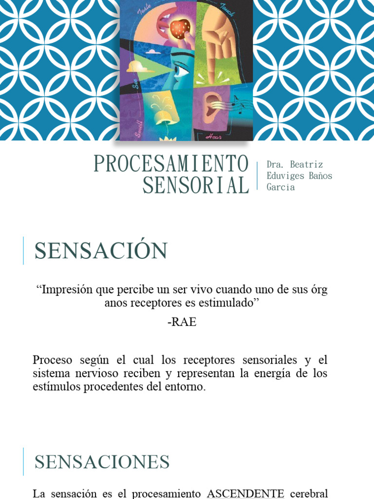 Procesamiento Sensorial | PDF