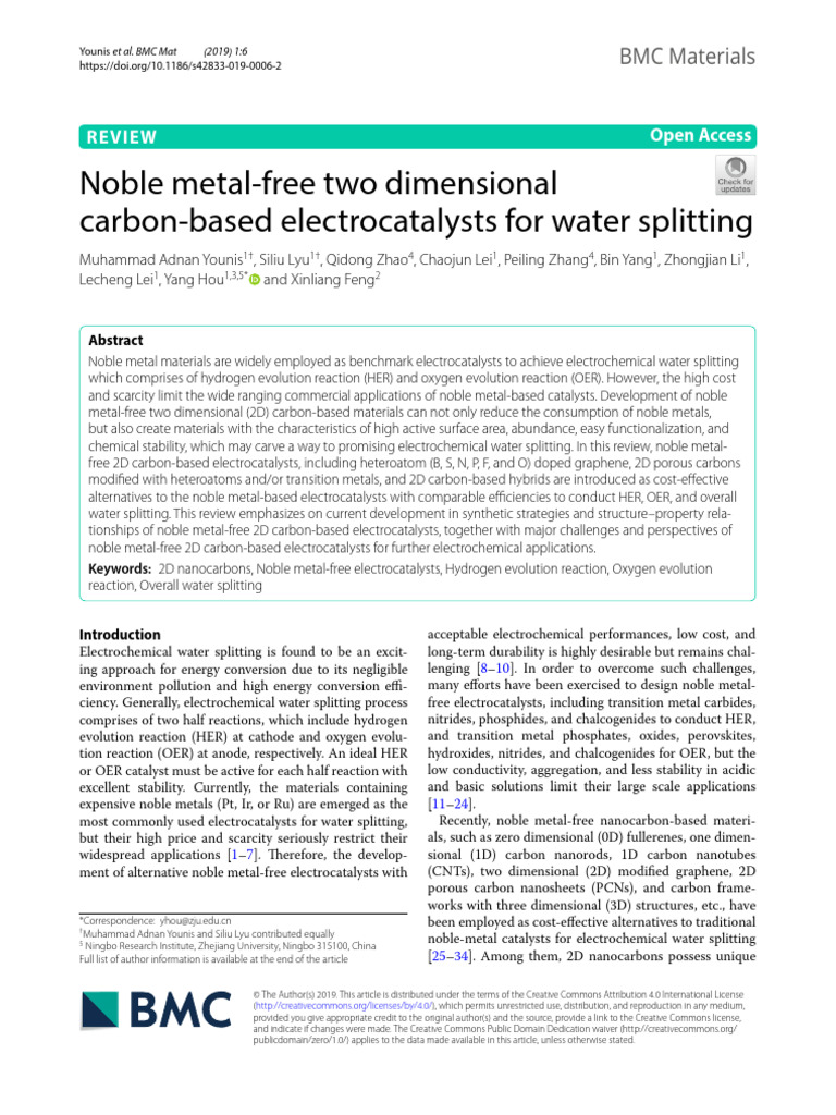 Noble Metal-Free Two Dimensional Carbon-Based Electrocatalysts For ...