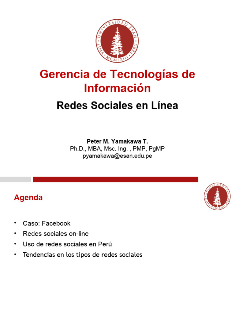 S13 Redes Sociales en Linea | PDF | Servicio de redes sociales | Internet