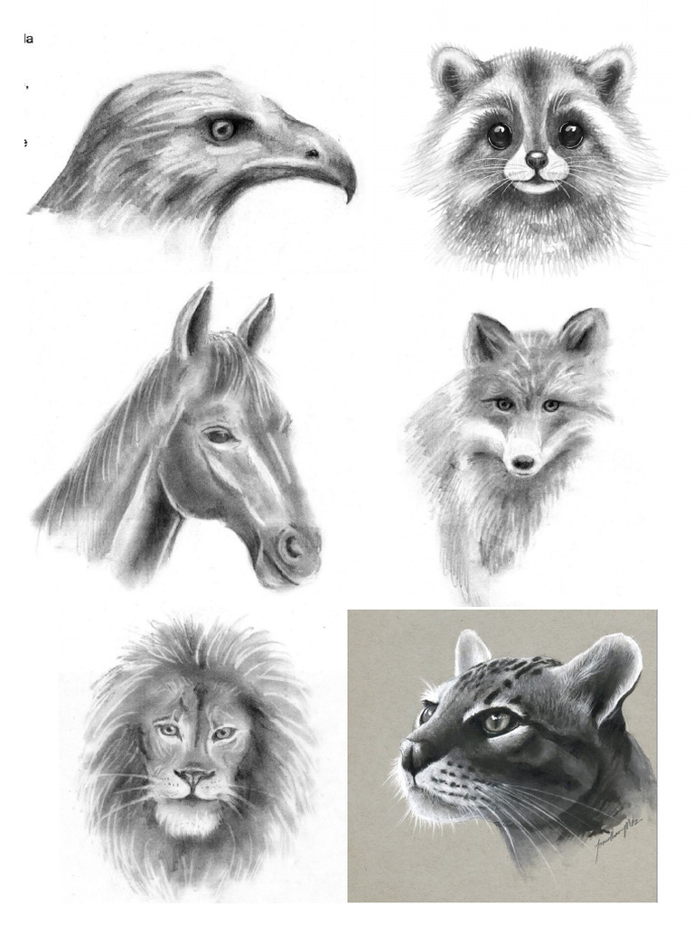 Animales Escala de Grises | PDF