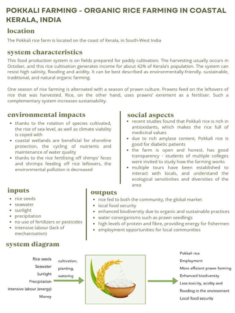 Benefits of Pokkali Rice Farming | PDF