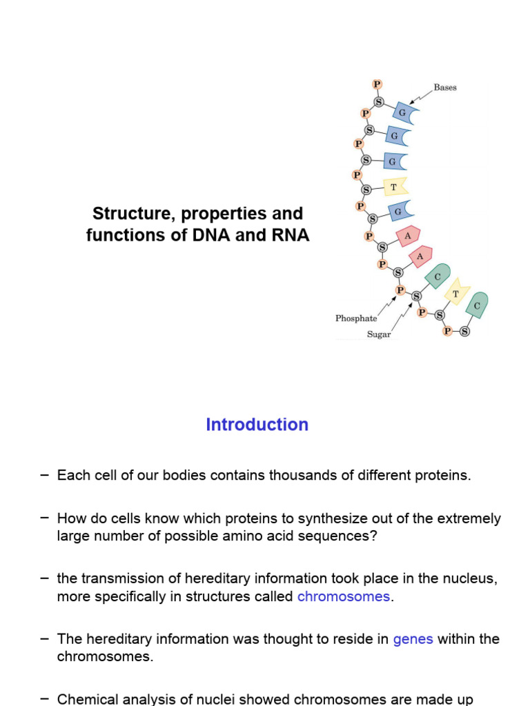 Structuer and Properties of DNA and RNA | PDF