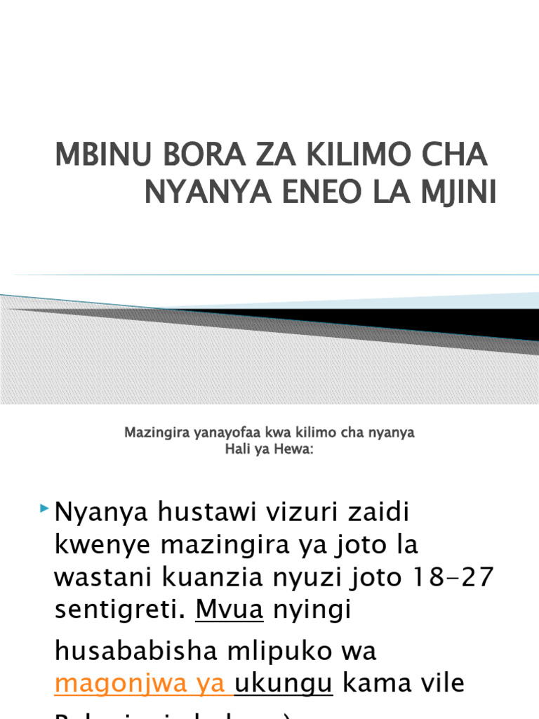 Kilimo Cha Nyanya | PDF
