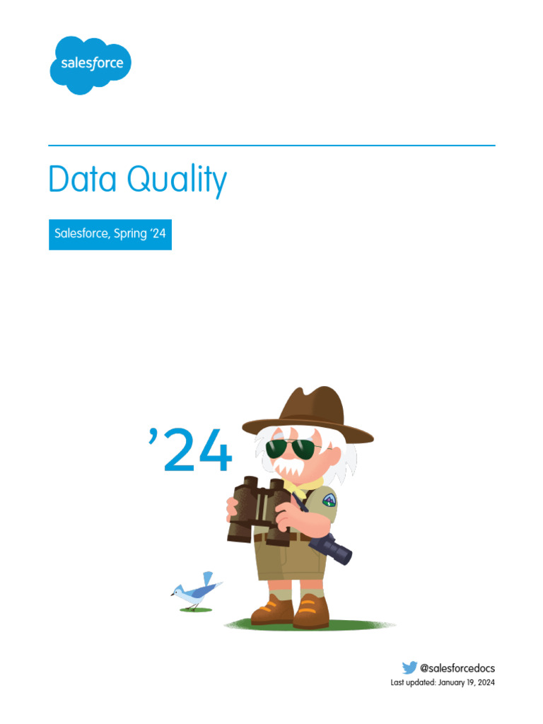 Data Quality Salesforce | PDF | Information Technology | Computing