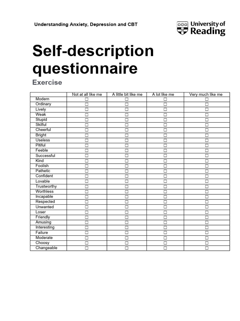 Self-Description Questionnaire | PDF
