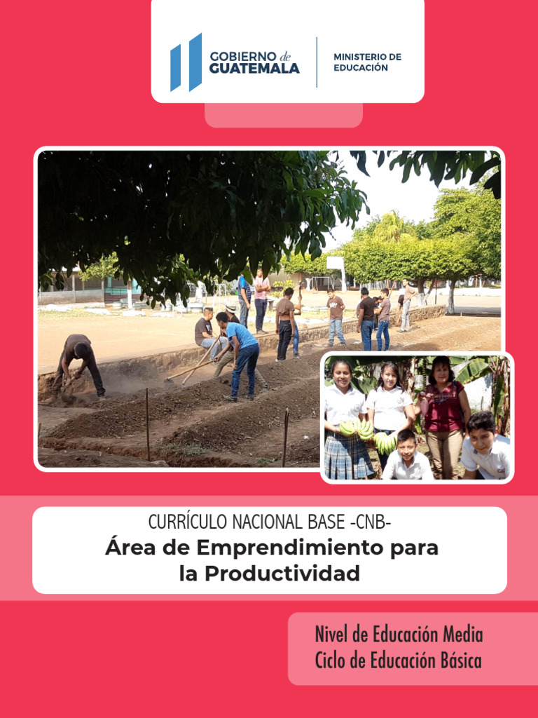 CNB Emprendimiento para La Productividad Ciclo Básico | PDF