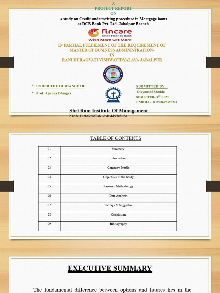 DIVI | PDF | Career & Growth