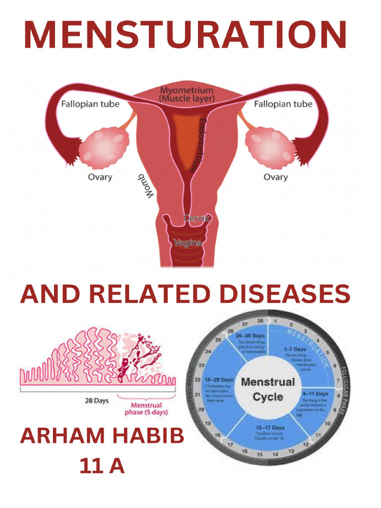 Mensturation Project | PDF | Premenstrual Syndrome | Menstruation