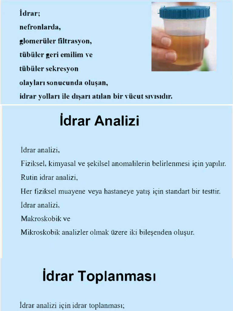 İdrar Analizi-M. Akif Çürük (Teorik) | PDF