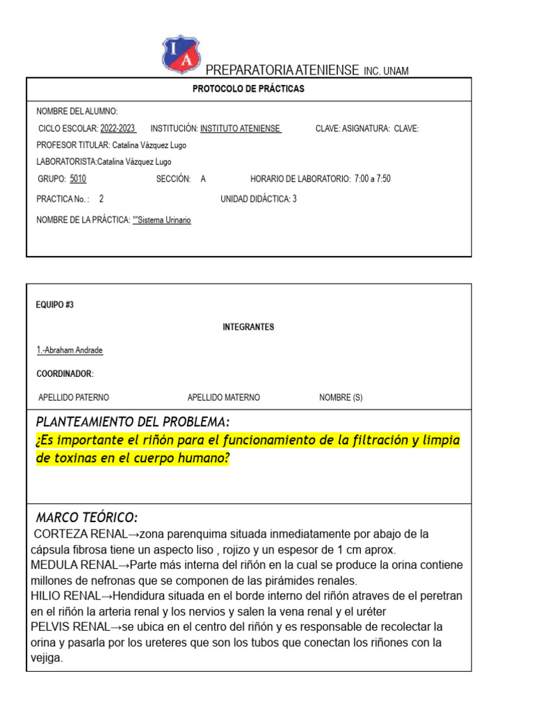 Protocolo de Practicas | PDF