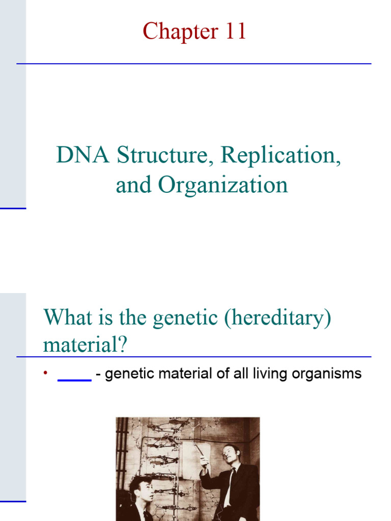 Chapter 11 Dna 2021 Pdf Dna Replication Dna