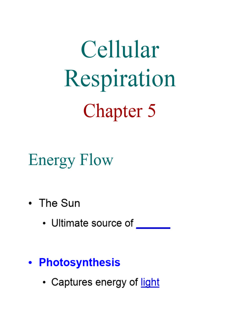 Chapter 5 - Cellular Respiration-2021 | PDF Chapter 5 - Cellular Respiration-2021 | PDF