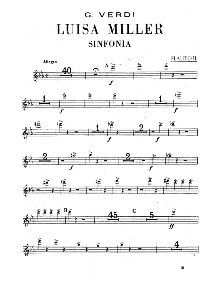 IMSLP689574-PMLP87218-02. VERDI LUISA MILLER - Flute 2 | PDF