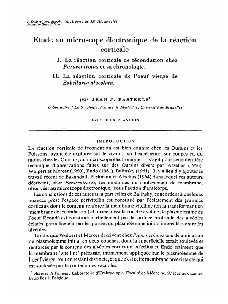 Réaction Corticale chez Paracentrotus | PDF