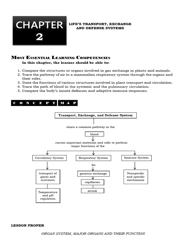 Chapter 2 Circularory Respiratory Immune System | PDF | Heart Valve ...