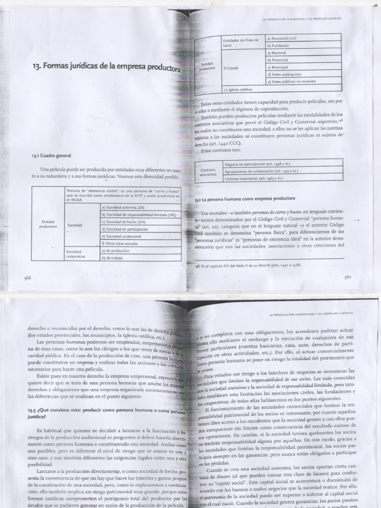 Julio Raffo Unidad Cap 13 | PDF