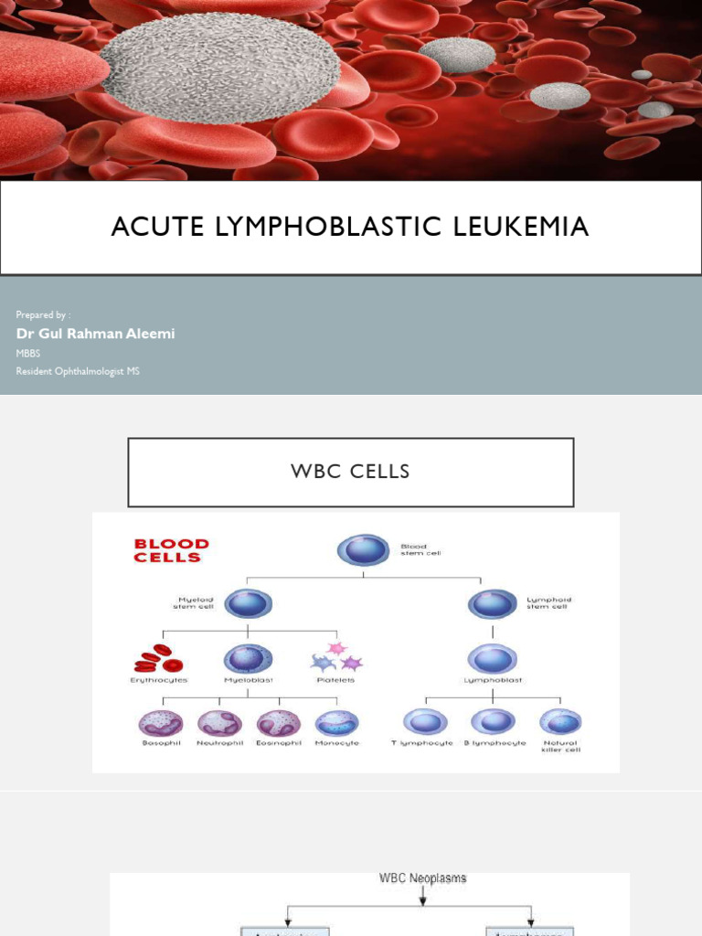 Acute Lymphoblastic Leukemia | PDF | Leukemia | Chemotherapy