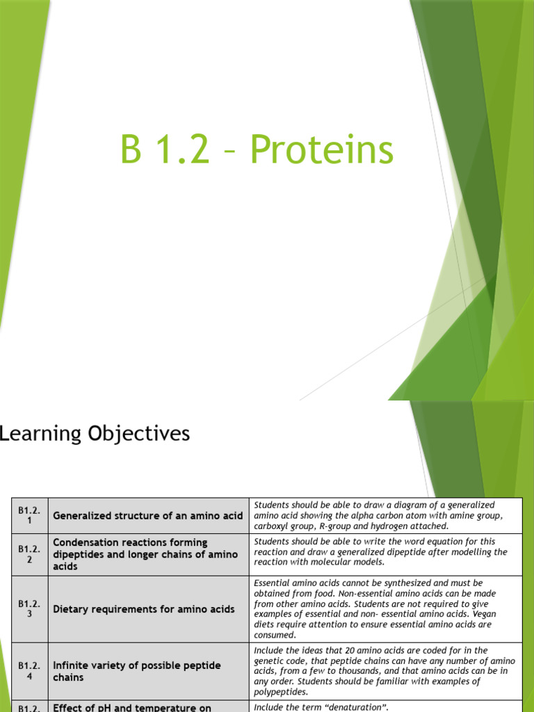 Protein Structure and Synthesis | PDF | Proteins | Protein Structure